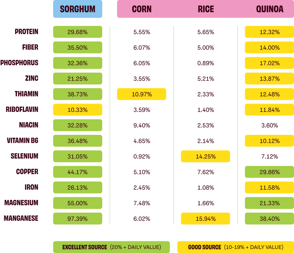 COB - CORN-FREE FOOD & SNACKS – Cob